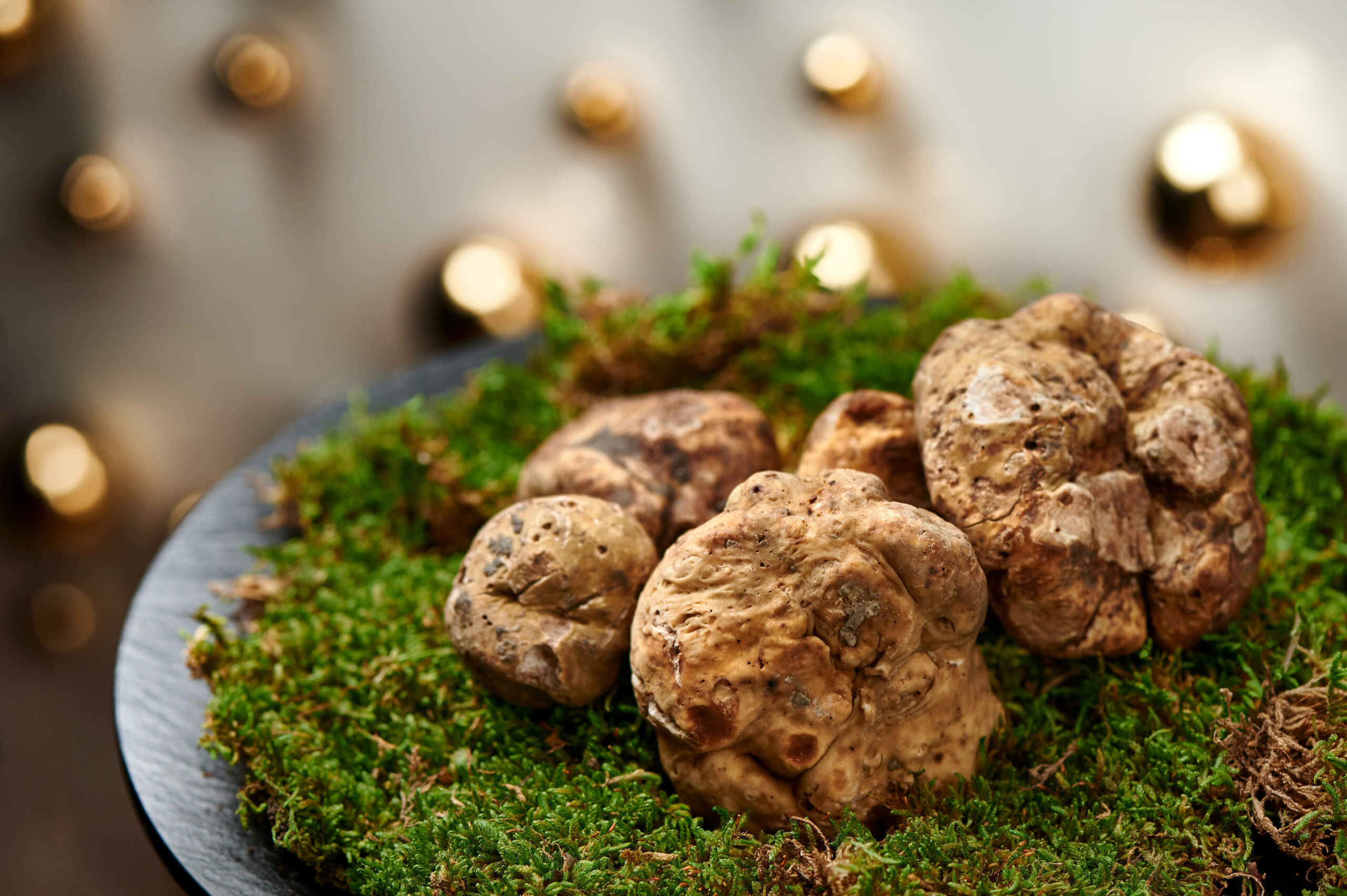 Alba White Truffle Tasting Menu - Macau Closer