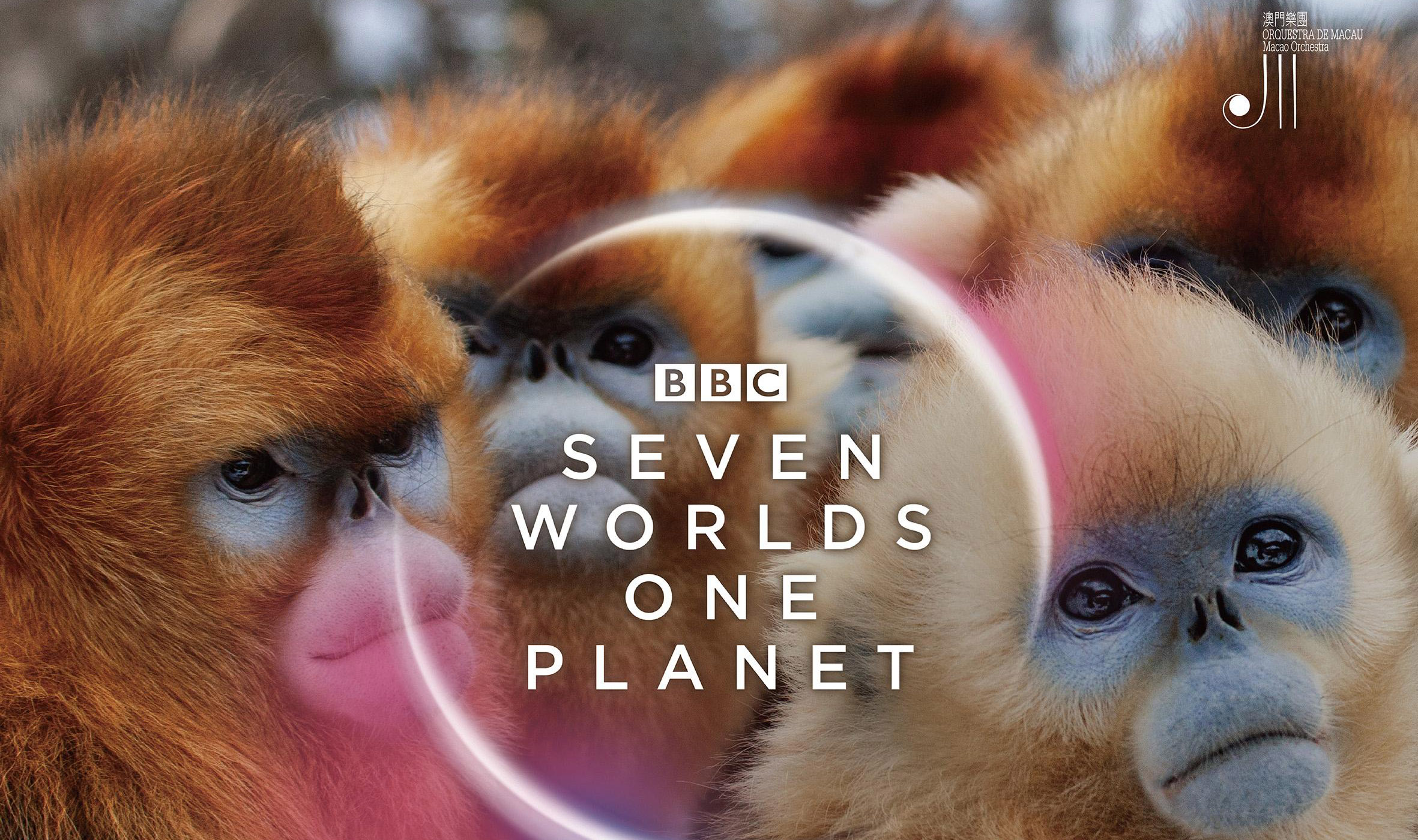 Seven Worlds, One Planet - Macau Closer